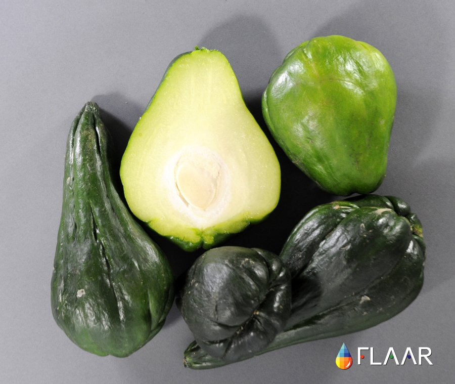 Photo Gallery of Güisquil (wiskil)